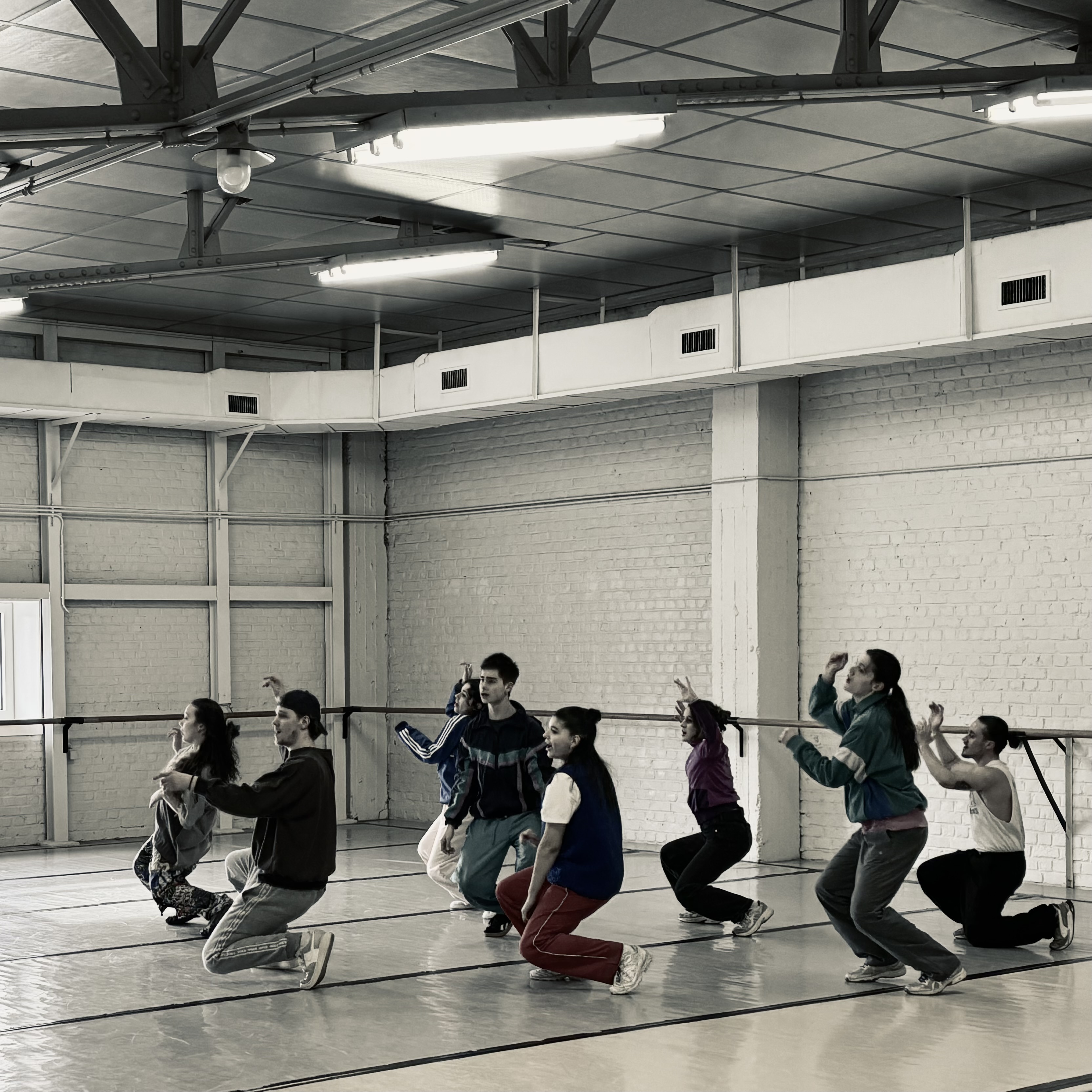 Festival Studio PBA | PBA